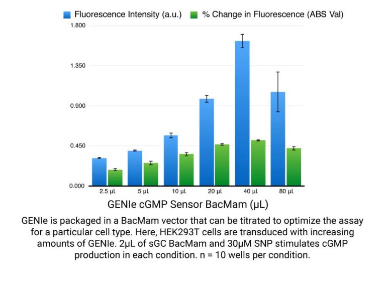 Green GENIe cGMP Assay Kit (D0800G) | Montana Molecular