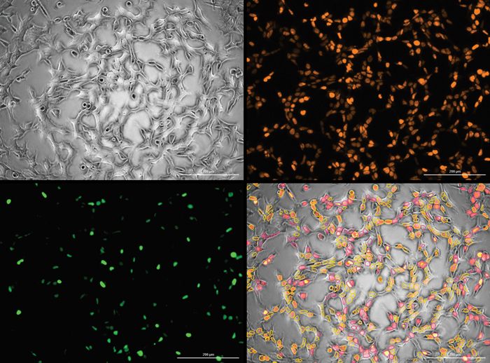 Biotek Image | Montana Molecular
