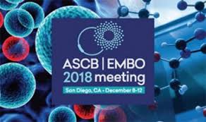 ascb 2018 meeting logo | Montana Molecular