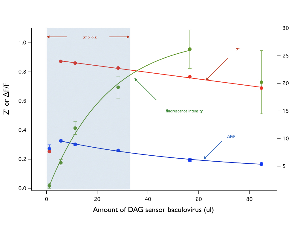 Green DAG Protocol | Montana Molecular