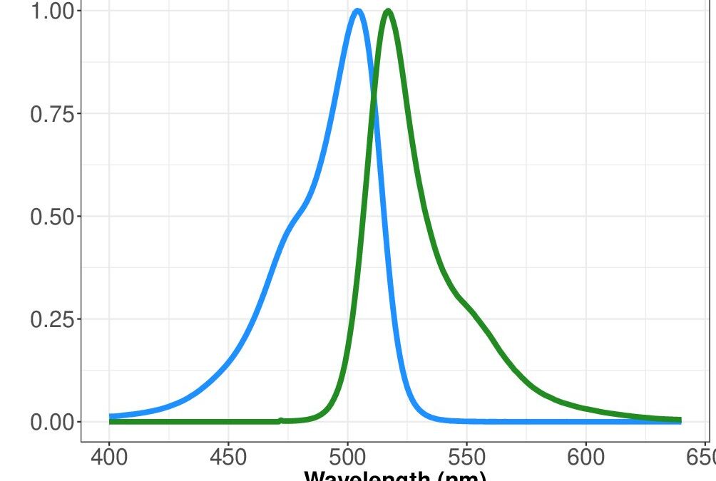 mNeonGreen_Spectrum | Montana Molecular
