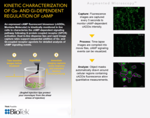 cADDis: Live Cell cAMP Assays | Montana Molecular
