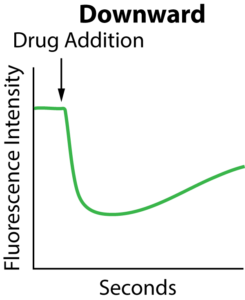 DAG Assays | Montana Molecular