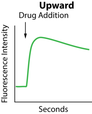 DAG Assays | Montana Molecular