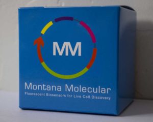 BacMam Advantages | Montana Molecular