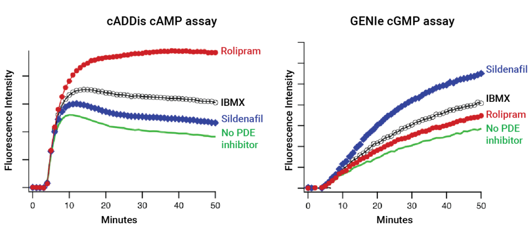 PDE Biology | Montana Molecular