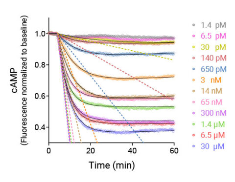 Assay Services | Montana Molecular
