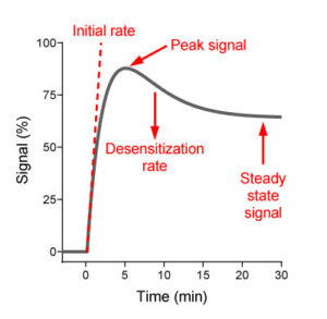 Assays for GPCR Signaling: Why we measure GPCR signaling over time | Montana Molecular