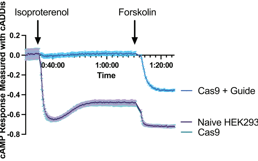 Gs knockout data | Montana Molecular